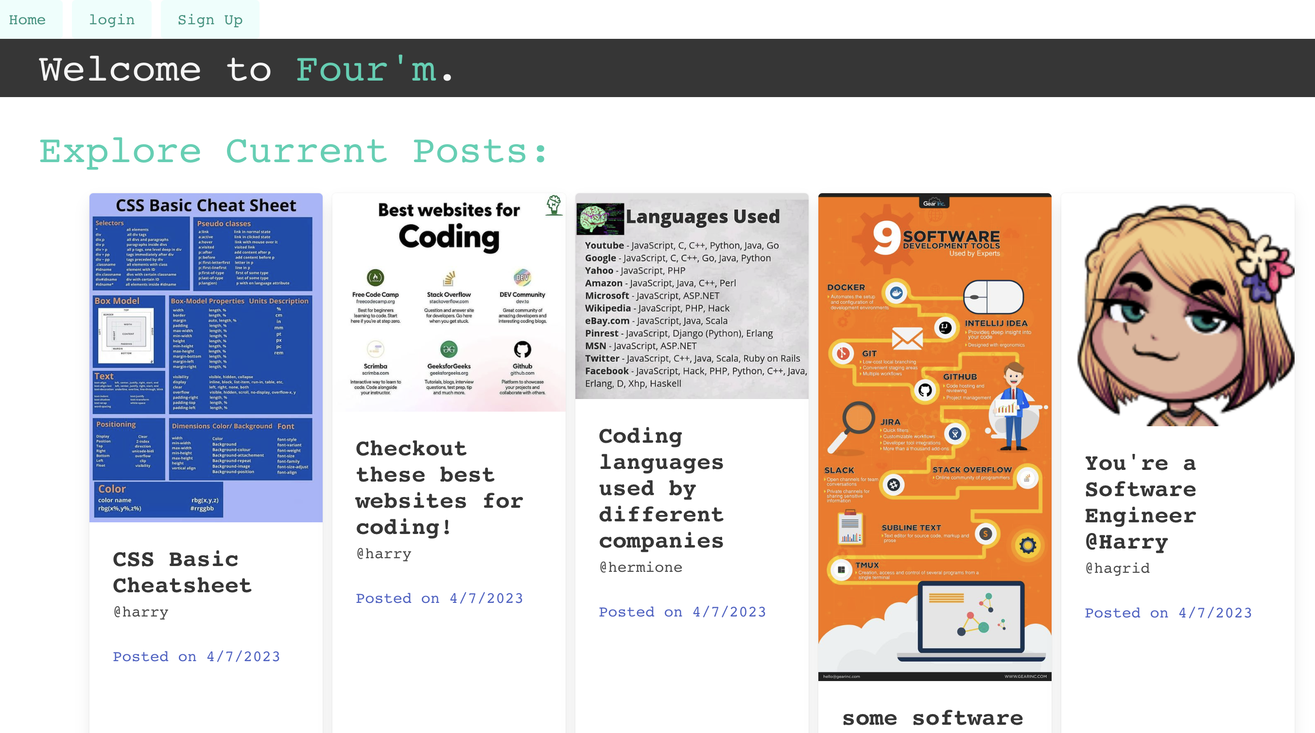Tina Wang's Portfolio